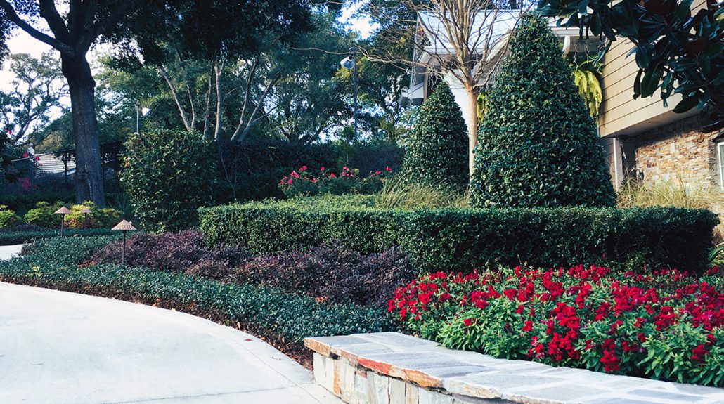 Top 5 Orlando Landscaping Design Trends For 2025 by BLG